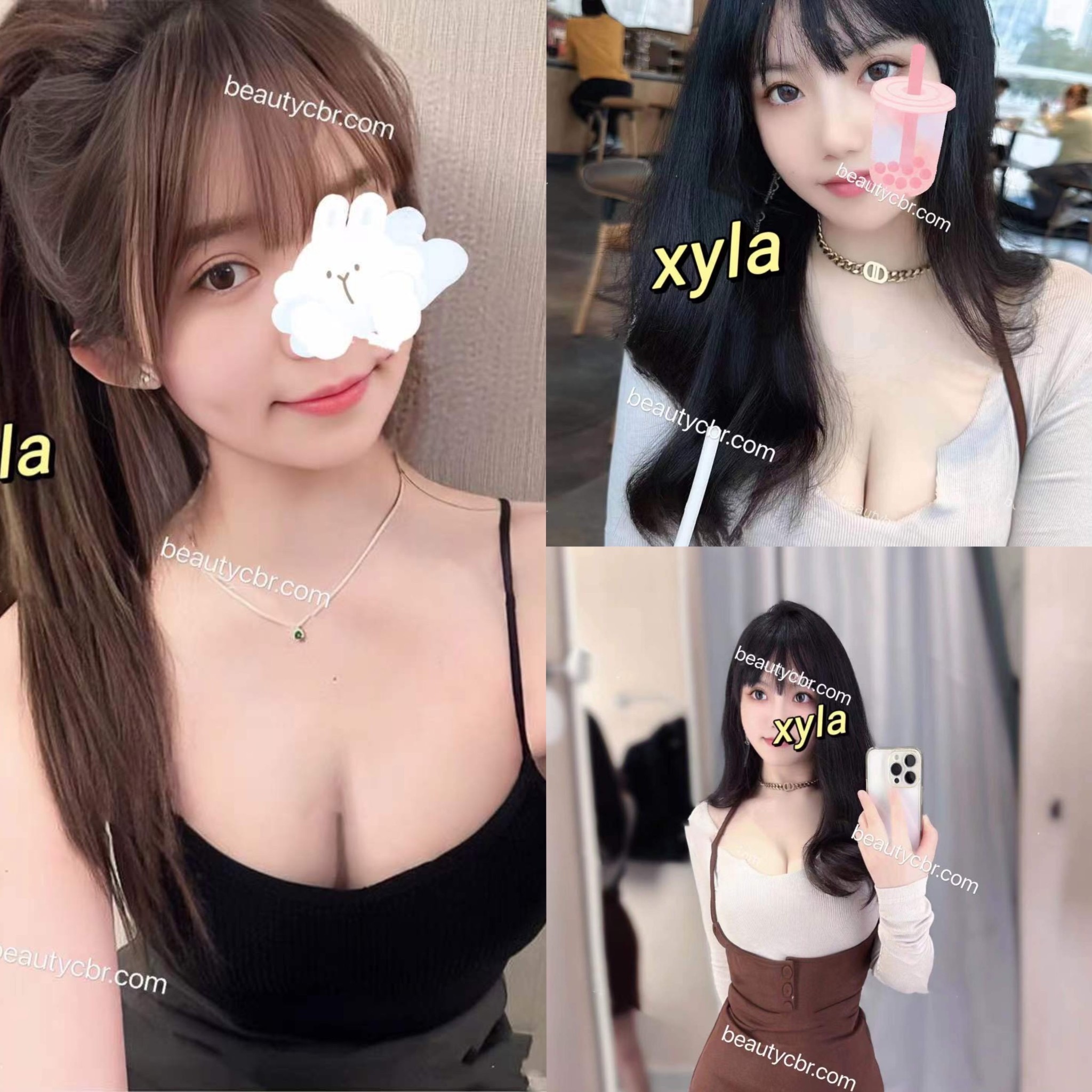 Feed – Sweety Canberra